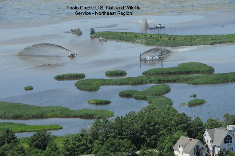 Thin Layer Placement of Dredged Material - EA